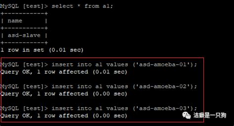搭建amoeba实现mysql主从数据库读写分离 腾讯云开发者社区 腾讯云