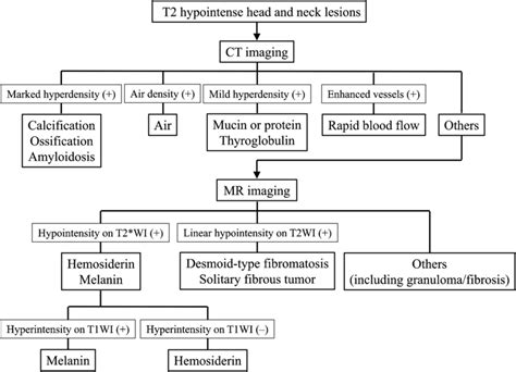 Neck Mass Differential