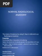Xray Apicolordotic Pdf