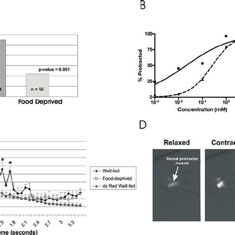 Effects Of Food Deprivation On Male Sex Muscle Excitability A Mating Download Scientific