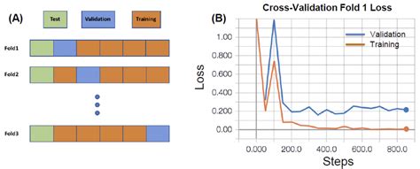A Model Cross Validation We Initialized 5 Different Models For Each