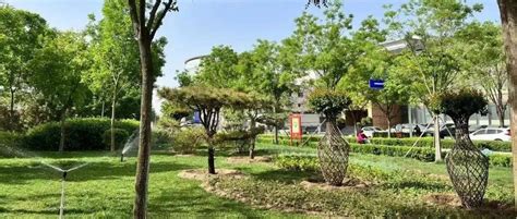 快去遛弯大兴这个口袋公园设计升级颜值猛增 大兴区 植物 居民