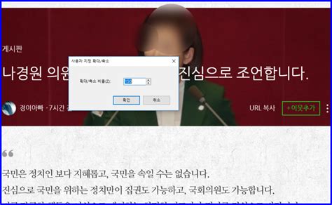 크롬 익스플로러 인터넷화면 조절 글씨 크게 보기 방법확대 네이버 블로그