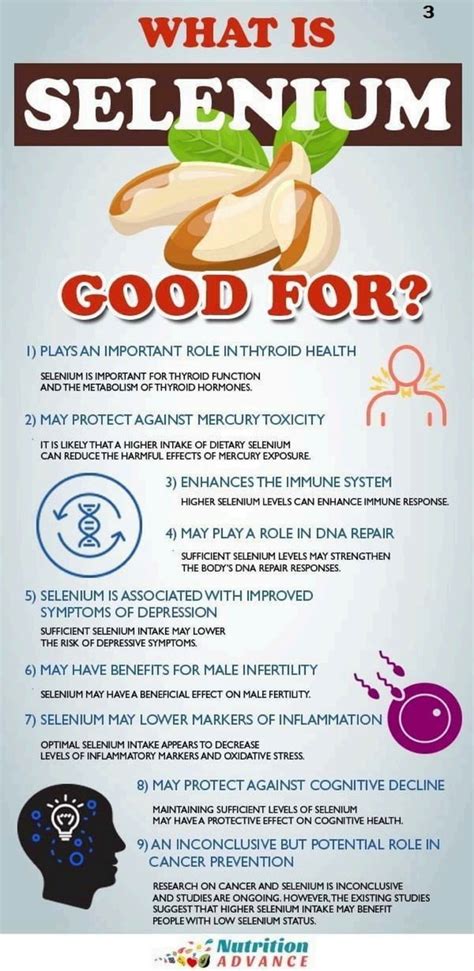 Selenium Updatedpdf Free Download