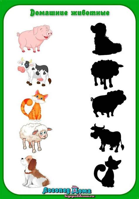 Чья тень картинки для детей