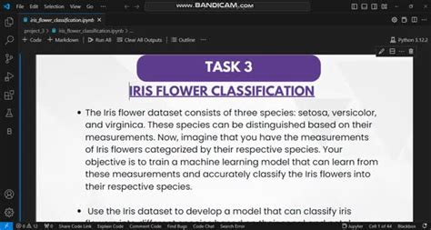 Codsoft Internship Datascience Machinelearning Hamesh Raj