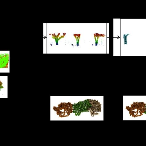 Individual Tree Segmentation Results From Dataset Ii Download Scientific Diagram