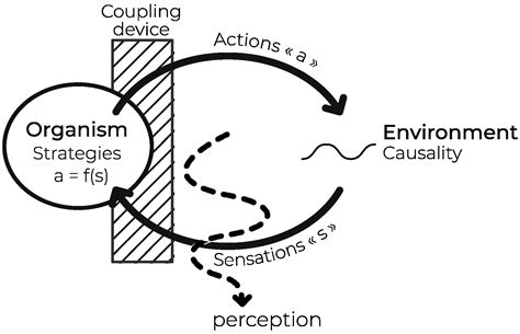 Scientific Observation