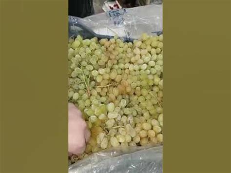 Киш Миш оптом - YouTube