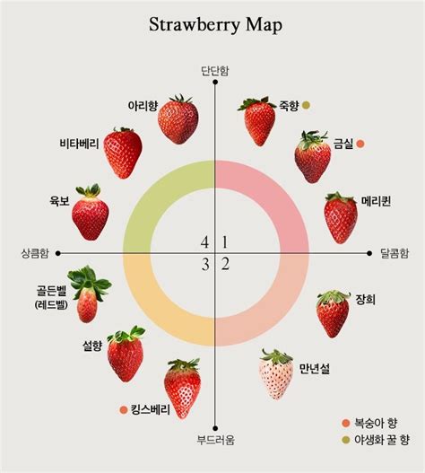 Ideasinfo에 있는 Lily님의 핀 과일 조각 음식 일기 음식