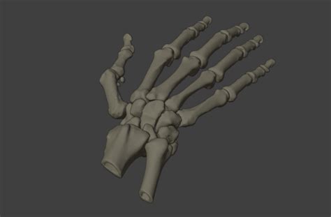 Cleaner Bone Segmentation Support 3d Slicer Community