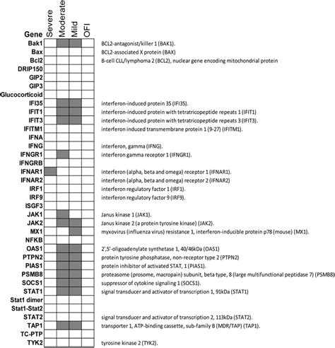 Interferon Signaling Pathways Was Highly Up Regulated In Moderate And Download Scientific