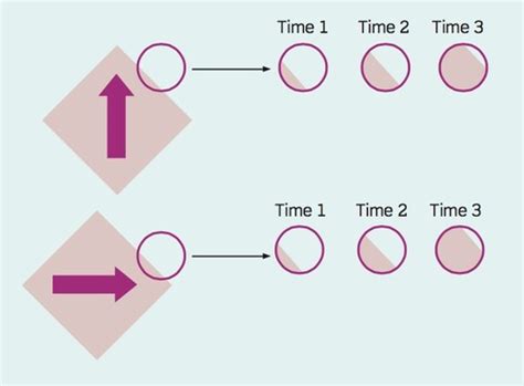 Week Flashcards Quizlet