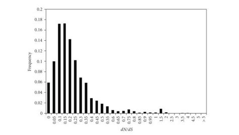 Dnds Ratio Distribution Of Orthologous Gene Sequences From C Parvum