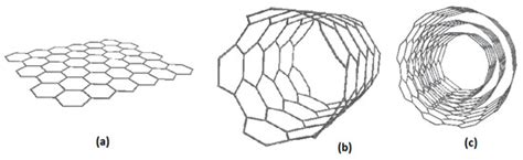 Sensors Special Issue Carbon Nanotube Based Sensors