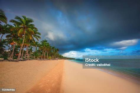 카리브 해에 외로운 섬입니다 야자수와 열 대 해변 도미니카 공화국 푼 타 카 나 0명에 대한 스톡 사진 및 기타 이미지 0명 Bávaro 경관 Istock