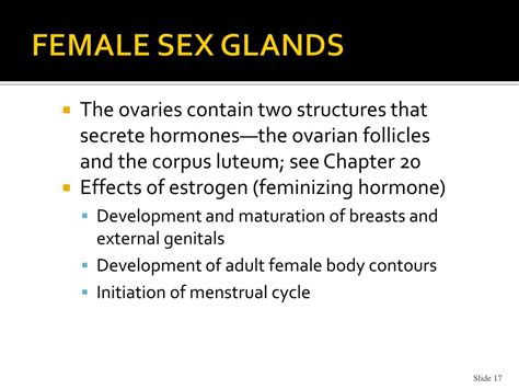 PPT Chapter The Endocrine System PowerPoint Presentation Free Download ID