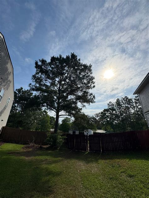 Kirbys Tree Care Llc Added A New Kirbys Tree Care Llc