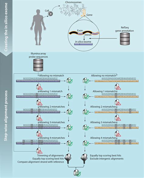 Annotation Pipeline Schematic Overview Of The Computational Pipeline