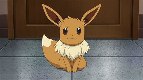 Chloes Eevee Pokémon Wiki Fandom