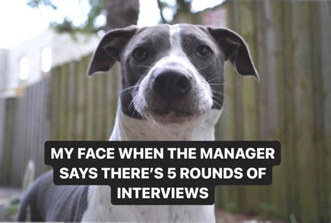 Carly Kaminer On Linkedin Staffing Developers It Softwaredevelopment Hiring Java Remote