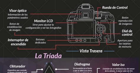 Anatomía de la Cámara