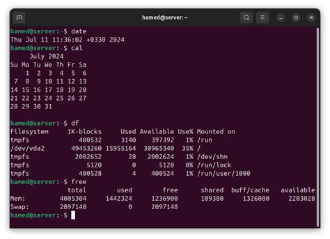 The Linux Command Line Basic Commands Bastaki Software Solutions
