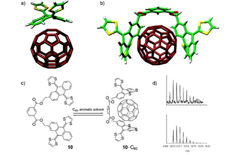 A Molecular Model Showing The Shape Complementarity Between Exttf And Download Scientific