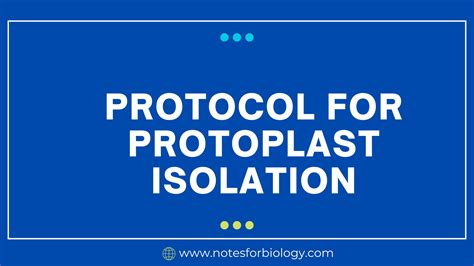 Protoplast Isolation Of Protocol