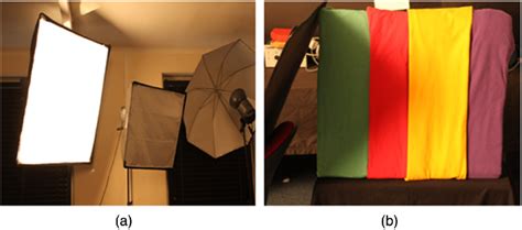 A Illumination From The Left Side Of The Image And B The Shadow Download Scientific Diagram