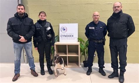 Safesquare Une 1ère équipe Certifiée Cynodex Safesquare