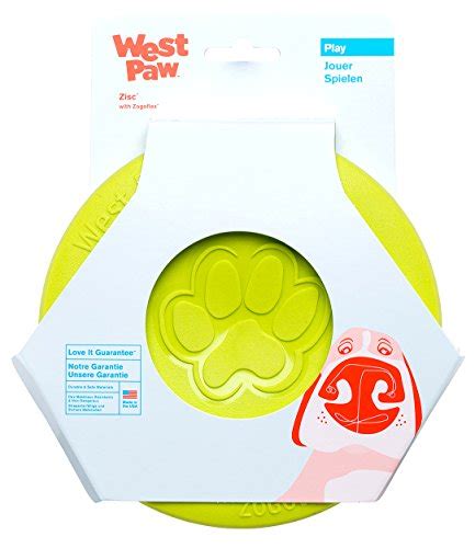 Best Dog Frisbees A Complete Guide