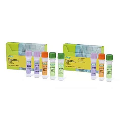 Next Generation Sequencing Library Preparation Ngs Solutions Lasec