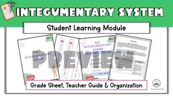 Anatomy Physiology Unit Integumentary Interactive Babe Learning Module