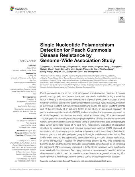 Pdf Single Nucleotide Polymorphism Detection For Peach Gummosis Disease Resistance By Genome