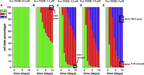 A Data Assimilation Approach To Predict Population Dynamics During Epithelial Mesenchymal