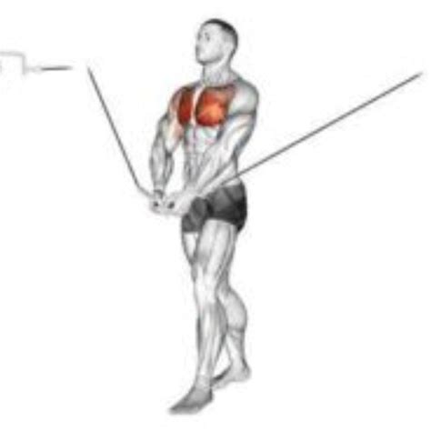 Cable Crossover Flys By Richard Terry Jr Exercise How To Skimble