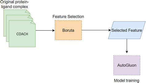 Schematic Representation Of The Feature Selection Workflow And Training Schematic Representation Of The Feature Selection Workflow And Training