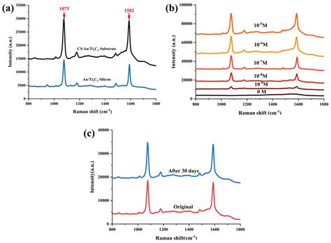 Simple Synthesis Of Cellulose Based Nanocomposites As Sers Substrates