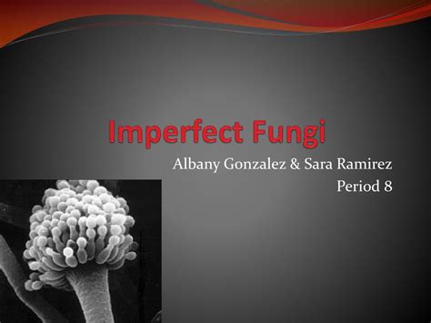 Ppt Imperfect Fungi Powerpoint Presentation Free Download Id 2531877