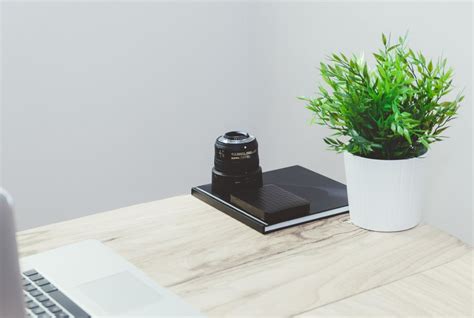 무료 사진 테이블 인테리어 가구 나무 실 잎 가구 식물 책상 실내