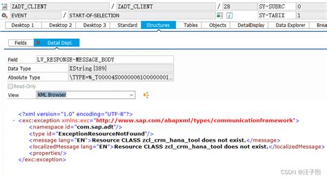 一个 abap development tool 自定义 service endpoint 的测试工具 阿里云开发者社区
