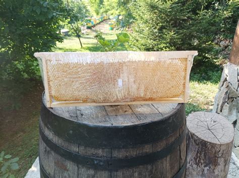 Пчелна пита Hristora Honey