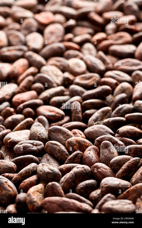 Pattern Of The Cocoa Beans Background Stock Photo Alamy