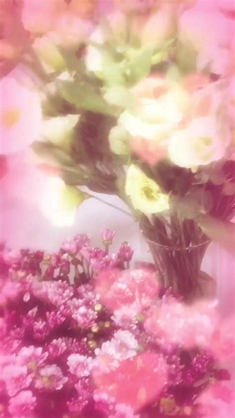 თაიგული ყვავილები Taiguli Flowers Home Facebook