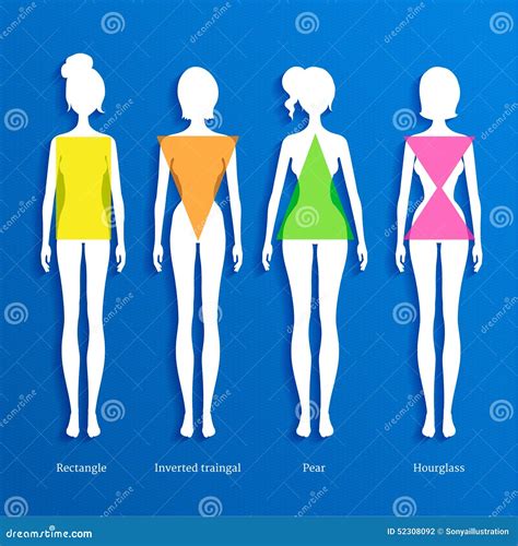 Female Body Types Vector Illustration CartoonDealer Com 52308092