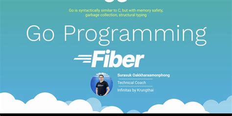 Go Programming Fiber Web Framework Dev Community