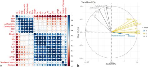 Heat Maps Of Pearson Correlation Heat Map A And Loading Biplot Of The Download Scientific