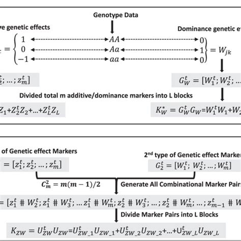 Mathematical Principle To Calculate The High Dimensional Kinship