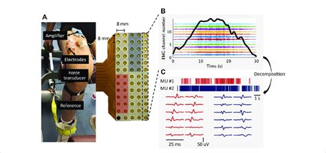 Experimental Setup Overview And Emg Decomposition A A High Density Download Scientific